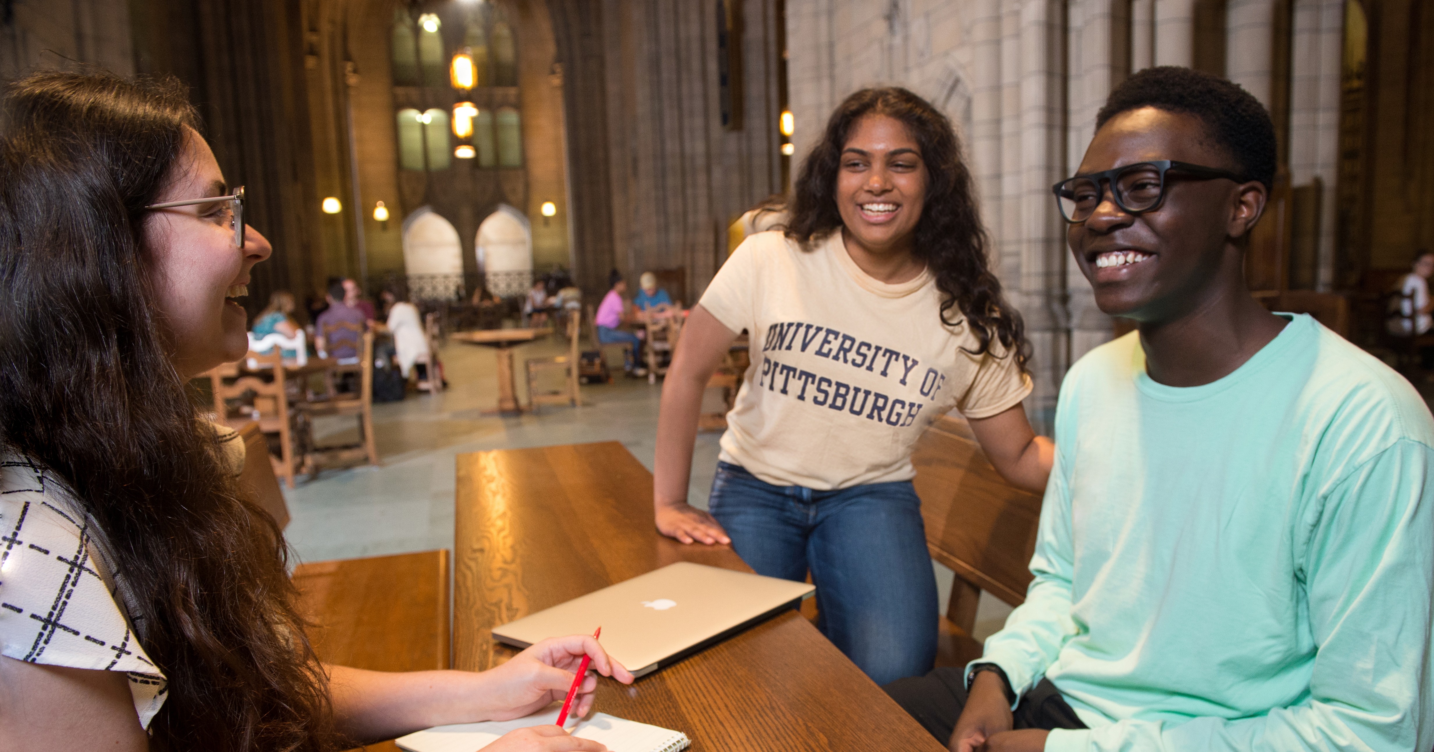 Pitt Commons - About