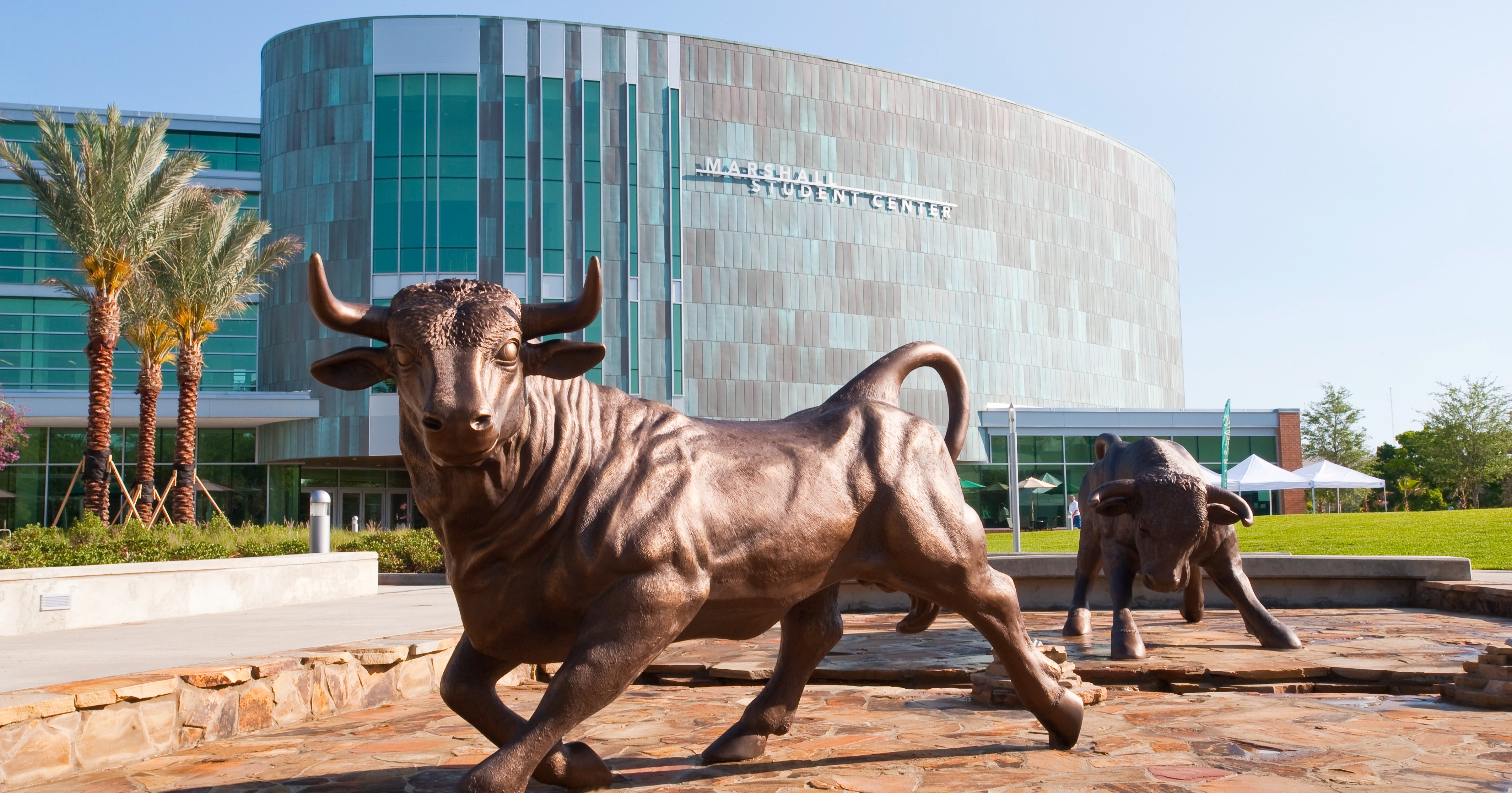 USF Mentoring Program - About